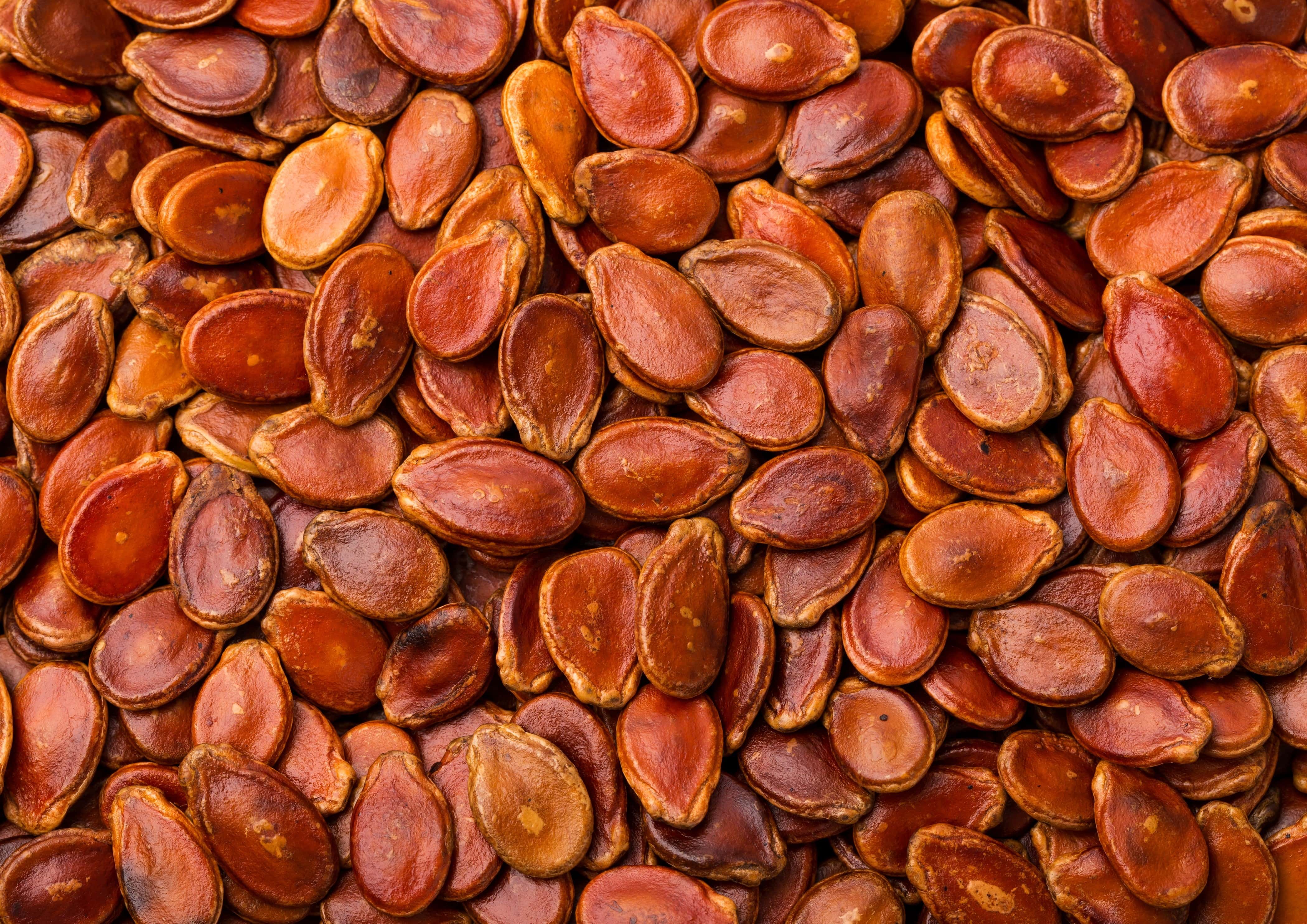 Murray River Seed Co - Leadership
